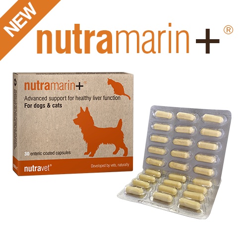 Jual Nutramarin + Obat Gangguan Liver (Hati) untuk Kucing & Anjing ...