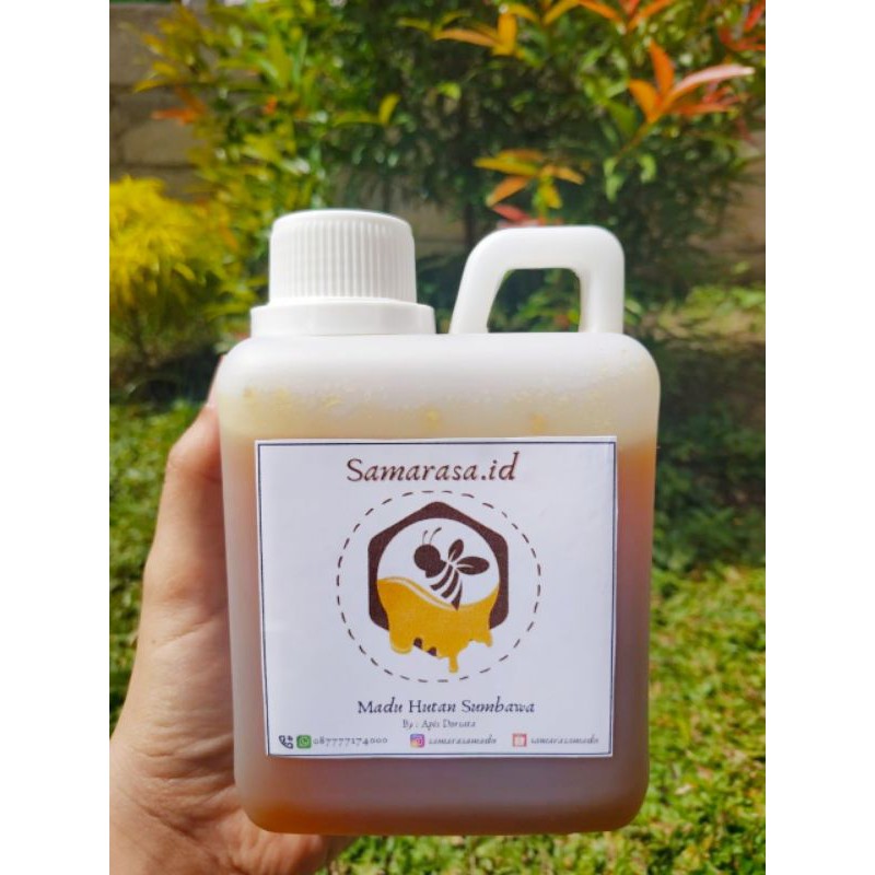 Jual Madu Hutan Sumbawa (500 ml) Apis Dorsata | Shopee Indonesia