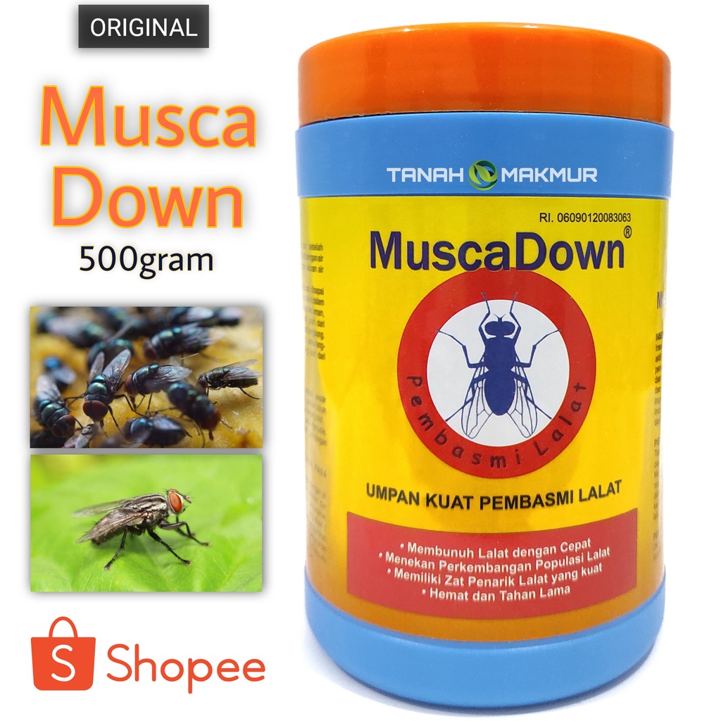 Jual MUSCA DOWN 500gram Umpan Pembasmi Lalat Paling Ampuh MUSCADOWN ...