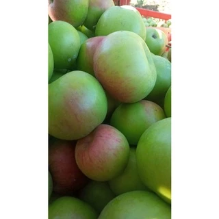 Jual Apel 1 Kg Terlengkap & Harga Terbaru Februari 2026 | Shopee Indonesia