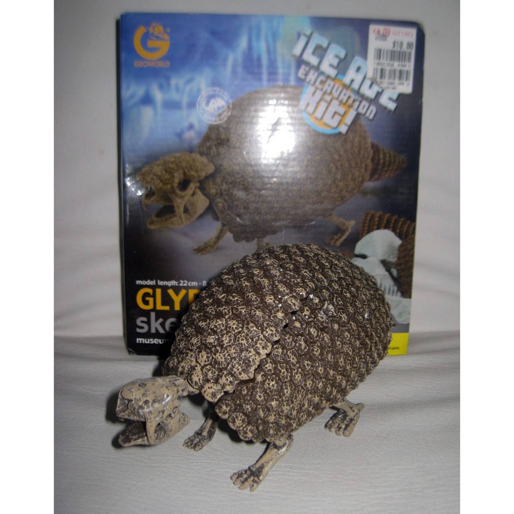 Jual Action Figure Glyptodon Dinosaurus Dinosaurs Excavation Kit ...