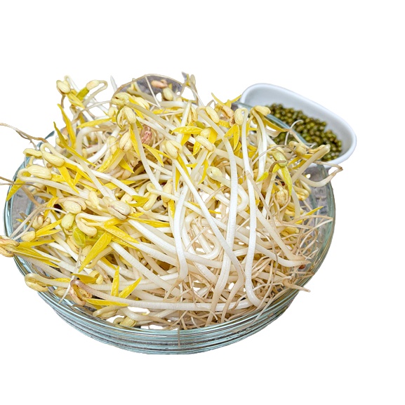 Jual Tauge toge 1kg Freshh !!! | Shopee Indonesia