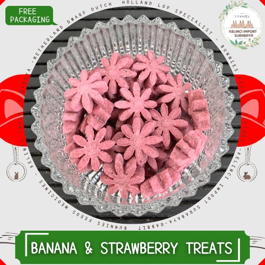 Jual SNACK BINTANG Treats Kelinci Guinea Pig - STRAWBERRY BANANA ...
