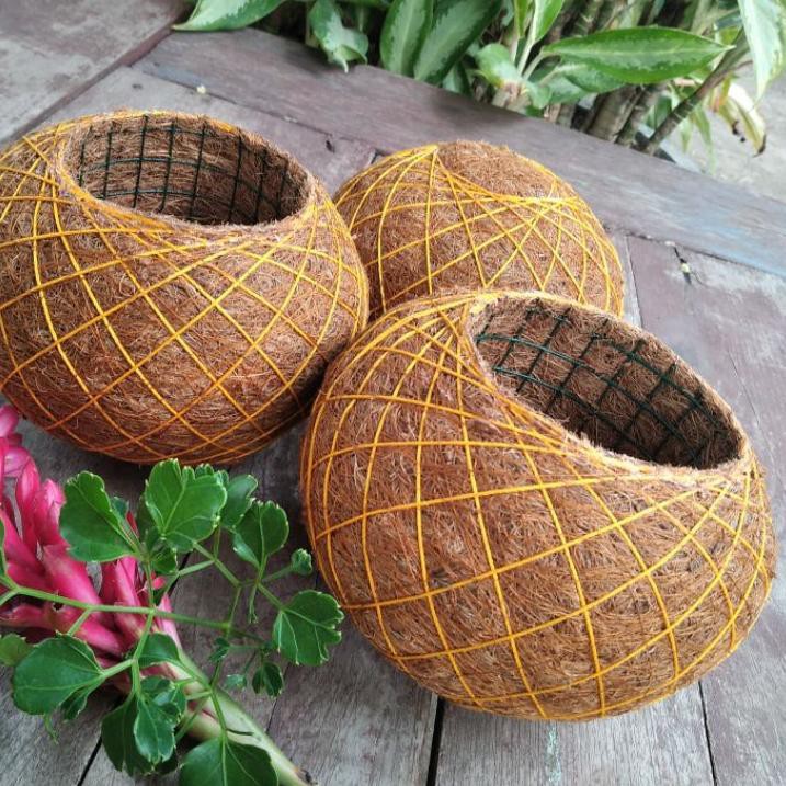 Jual SHOPEE MALL Pot Sabut Kelapa Pot Serabut Kelapa Kokedama Pot ...