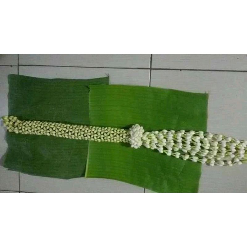 Jual TIBO DODO PAES AGENG | Shopee Indonesia