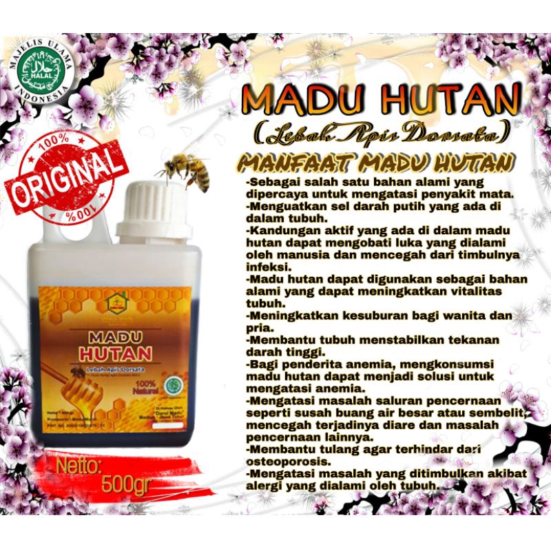 Jual MADU HUTAN ORIGINAL (Apis Dorsata) 500gr 100% original forest ...