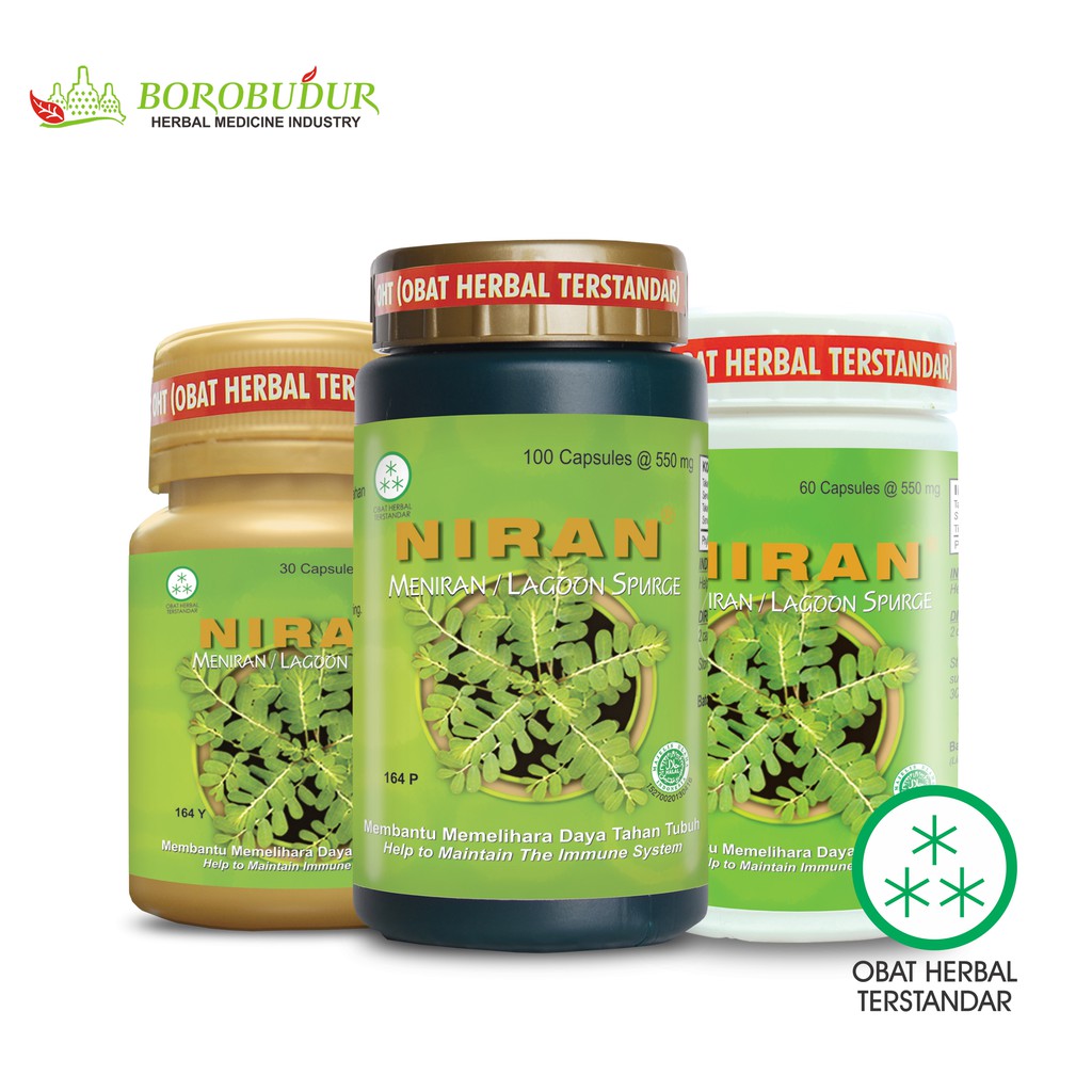 Jual Borobudur Herbal - Membantu memelihara daya tahan tubuh Niran | Shopee Indonesia