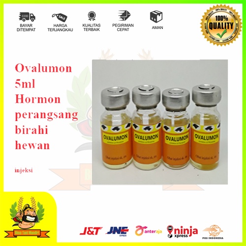 Jual OVALUMON 5ml - Hormon Estradiol Pemacu Birahi Hewan Betina ...
