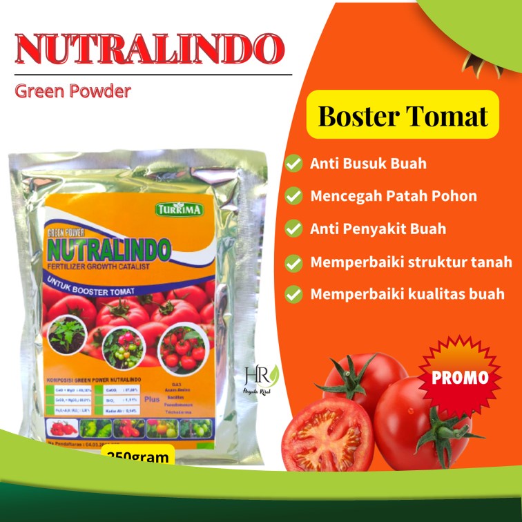 Jual Pupuk Pelebat Buah Tomat, booster Perangsang Akar, Batang & Daun Tomat , Nutrisi Hidroponik ...