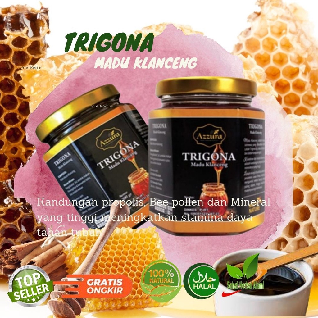 Jual Madu Trigona Obat Kesehatan Sehat Alami Plus Propolis Maag ...