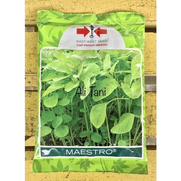 Jual Benih/Bibit Bayam Hijau MAESTRO Kemasan 500 Gram cap panah merah ...