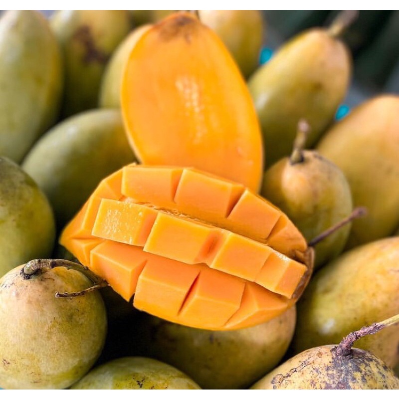 Jual MANGGA LOKMAI PREMIUM FRESH /1KG | Shopee Indonesia