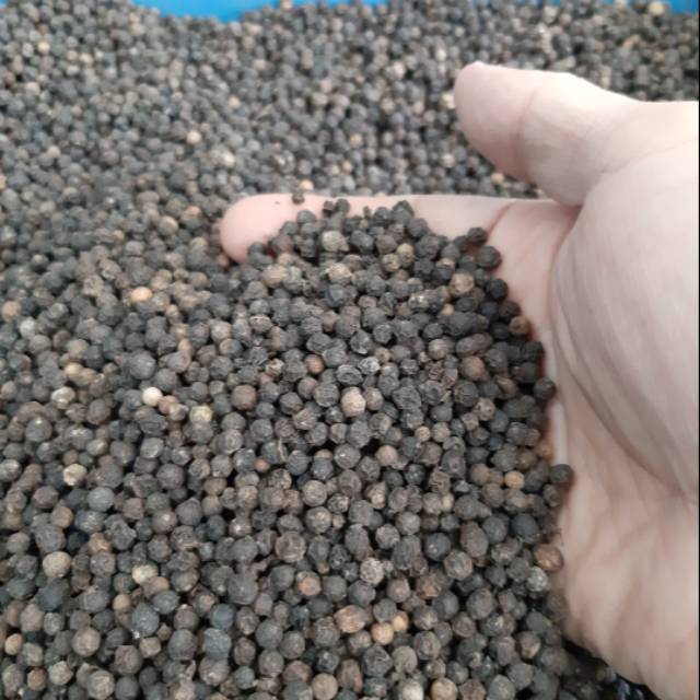Jual Lada hitam / black pepper 250gram | Shopee Indonesia