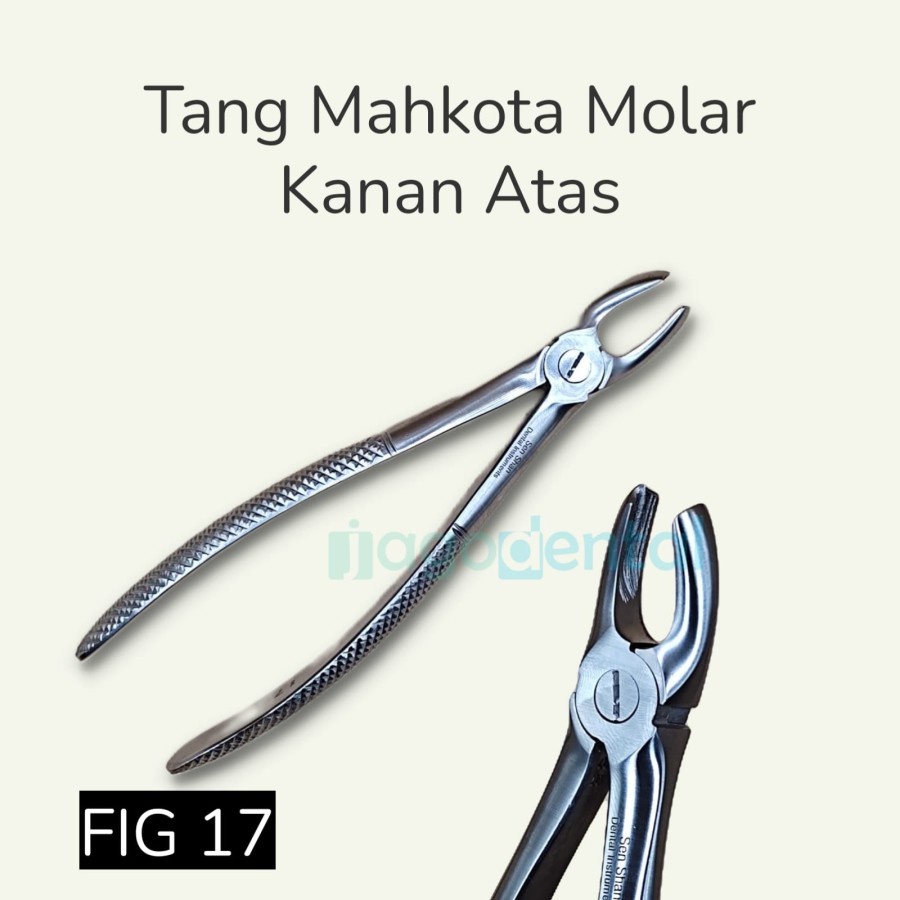 Jual DENTAL TANG CABUT GIGI DEWASA SATUAN TOOTH FORCEP / FORCEPS / TANG ...