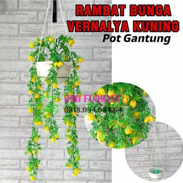 Jual POT GANTUNG BUNGA RAMBAT PLASTIK | Shopee Indonesia