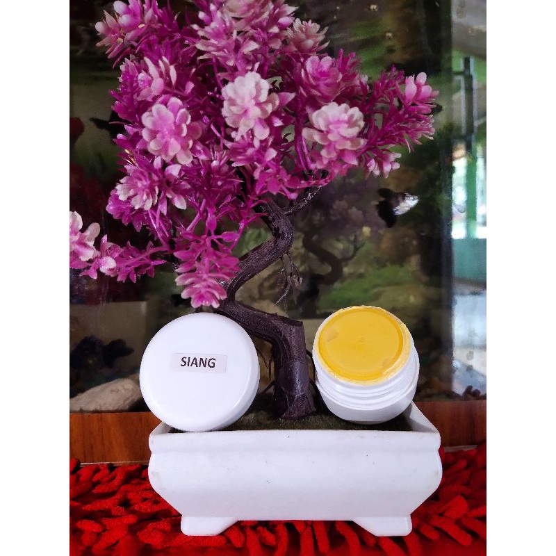 Jual Cream siang HN original | Shopee Indonesia