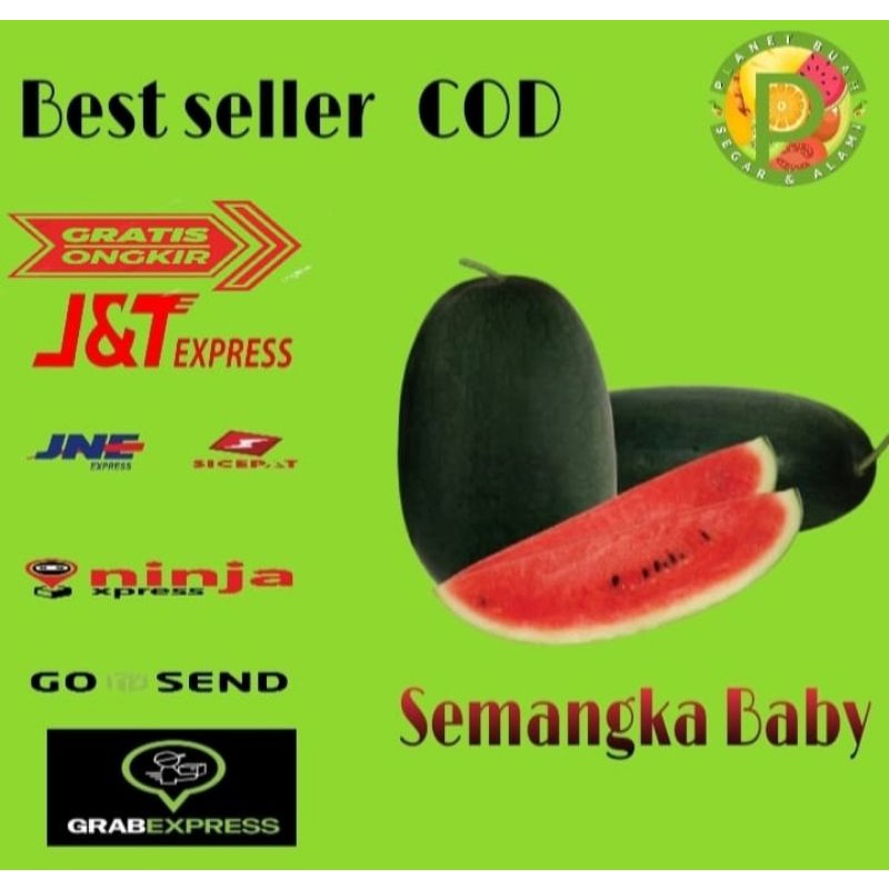 Jual BUAH SEMANGKA BABY INUL LONJONG SEGAR MANIS HARGA PER BUAH 3 KG ...