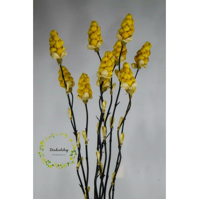 Jual 15 Batang Bambu Ulir Cendani Klobot Kering Jagung Warna Kuning ...