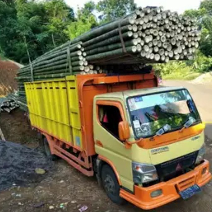 Jual BAMBU Proyek / AWI Steger Bangunan | Shopee Indonesia