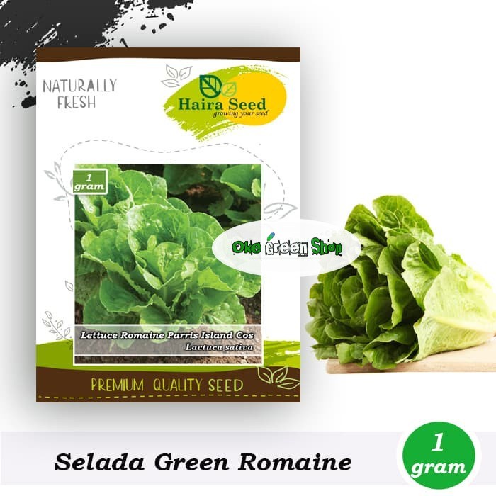 Jual Benih Bibit Selada Green Romaine Parris Island Cos Haira Original | Shopee Indonesia