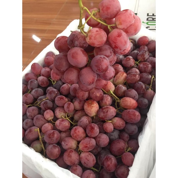 Jual Anggur Merah | Anggur Red Globe | Red Globe Murah | Anggur ...