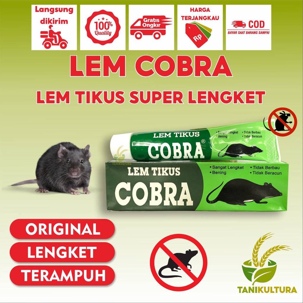 Jual Lem Tikus Cobra Lem Tikus Paling Ampuh Super Lengket Ampuh Basmi ...
