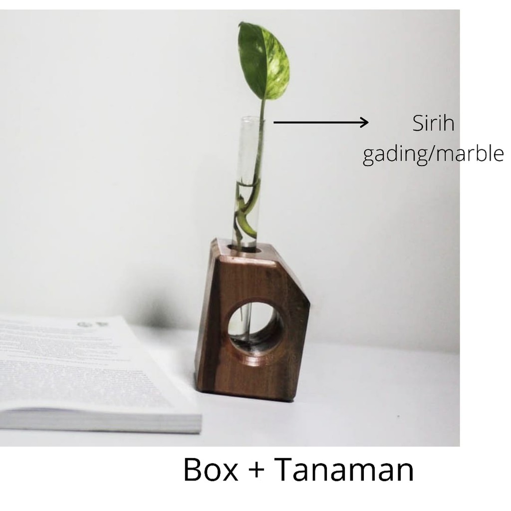 Jual (TANAMAN) Vas Bunga Kayu Air Propagasi Water Propagation Wadah ...
