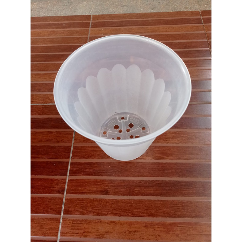 Jual 4 BH Pot p20t Transparan | Shopee Indonesia