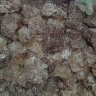 Jual 1kg Getah/Myrrh/Resin Damar Mata Kucing Lampung Grade Asalan ...