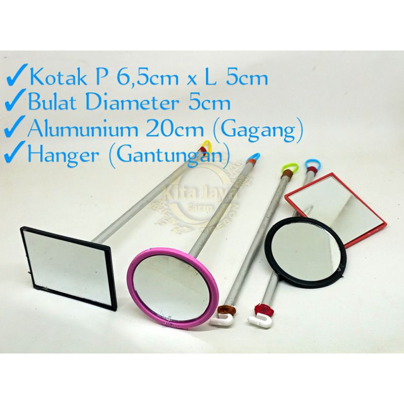 Jual Stick Kaca Cermin Stainless Latih Mental Ikan dan Flaring ikan ...
