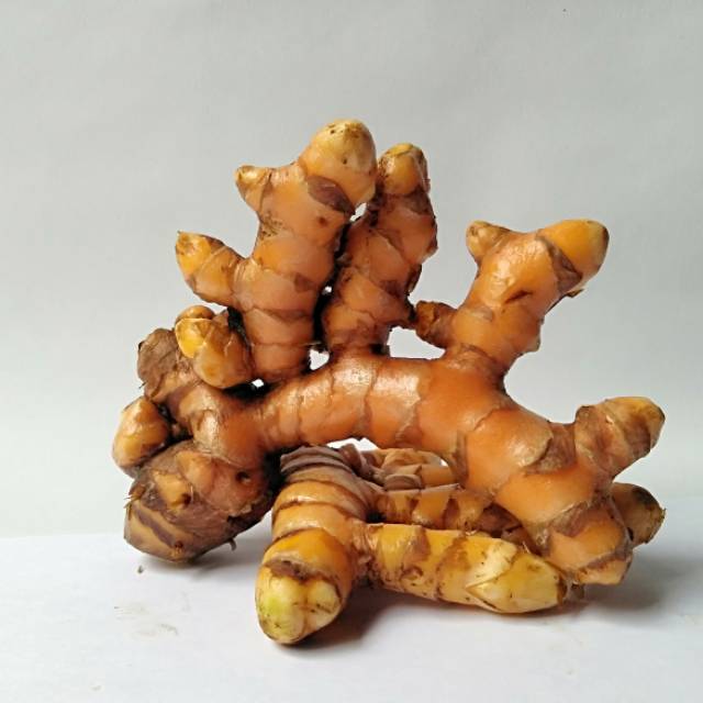 Jual KUNYIT KUNING / KUNIR KUNING SEGAR 1 KG | Shopee Indonesia
