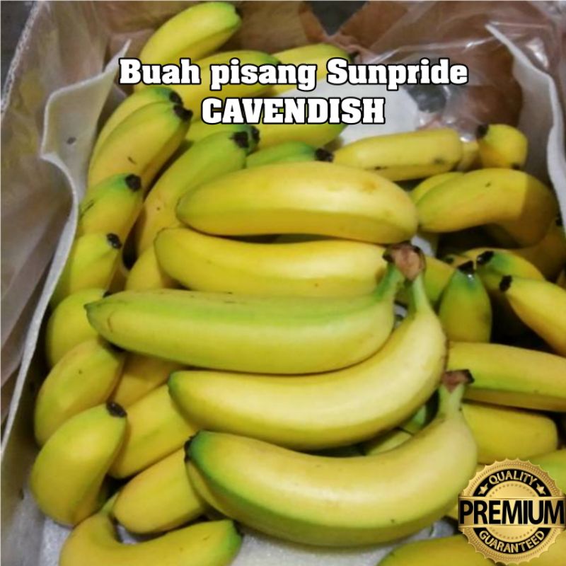 Jual buah pisang cavendish Sunpride import 1 KG super | Shopee Indonesia