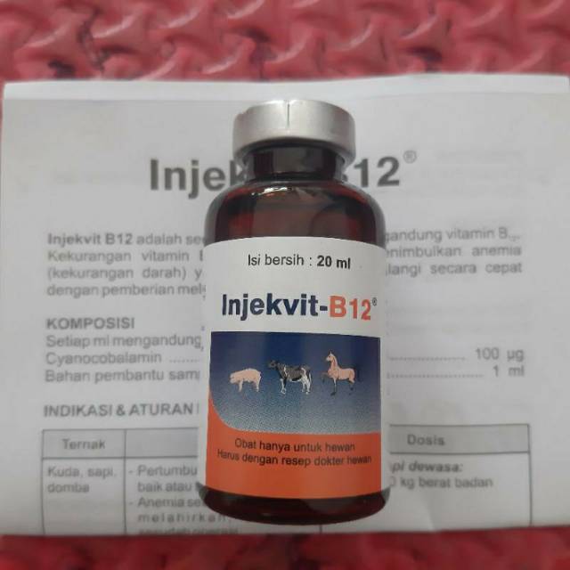 Jual Vitamin B 12 Merah INJEKVIT B12 20 ml SUNTIK INJEKSI VITAMIN ...