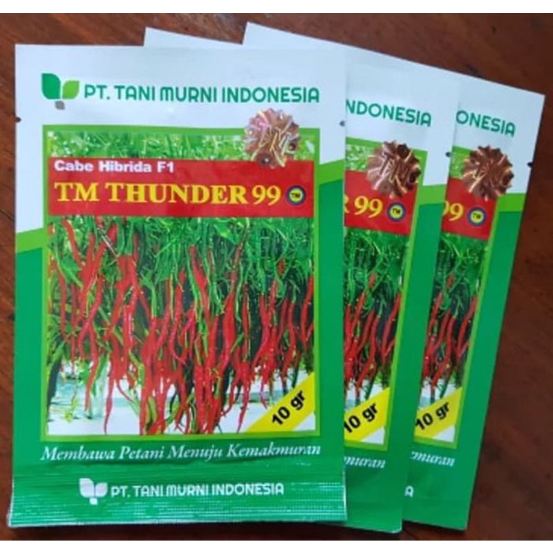 Jual Benih cabe TM THUNDER 99/10 GRAM-TANI MURNI | Shopee Indonesia