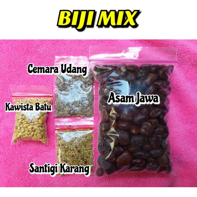 Jual Biji Mix 4 Jenis Biji Bonsai (biji Santigi Karang,Biji Kawis, Biji ...