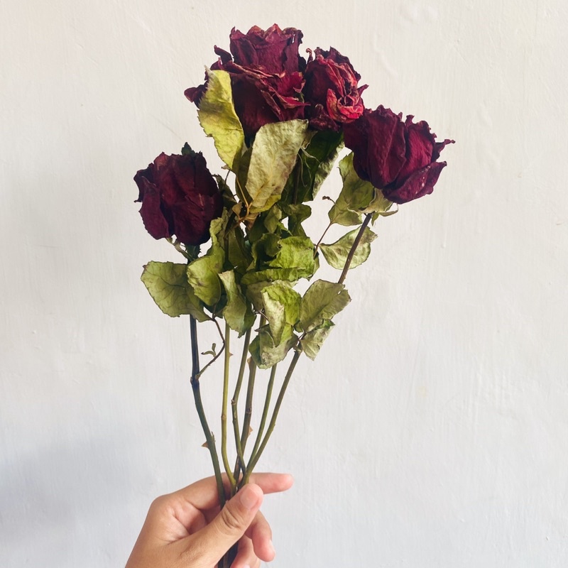 Jual Dried flower/ Bunga Rose Kering / Mawar kering | Shopee Indonesia