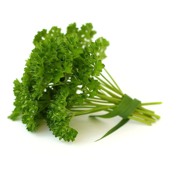 Jual Daun Parsley 1 Ikat - 50 Gr | Shopee Indonesia