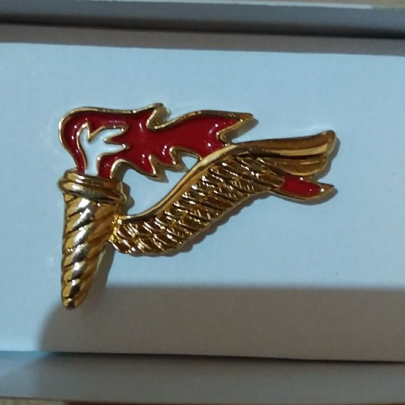 Jual brevet wing pdh pandu udara tni | Shopee Indonesia