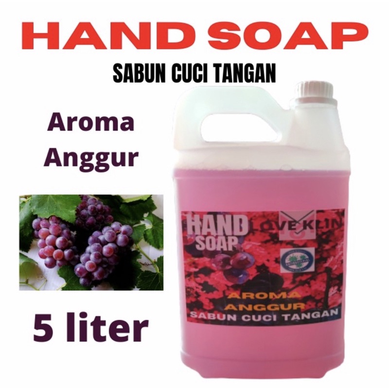 Jual (TERMURAH) SABUN CUCI TANGAN ATAU HANDSHOP WANGI ANGGUR LEMBUT ...