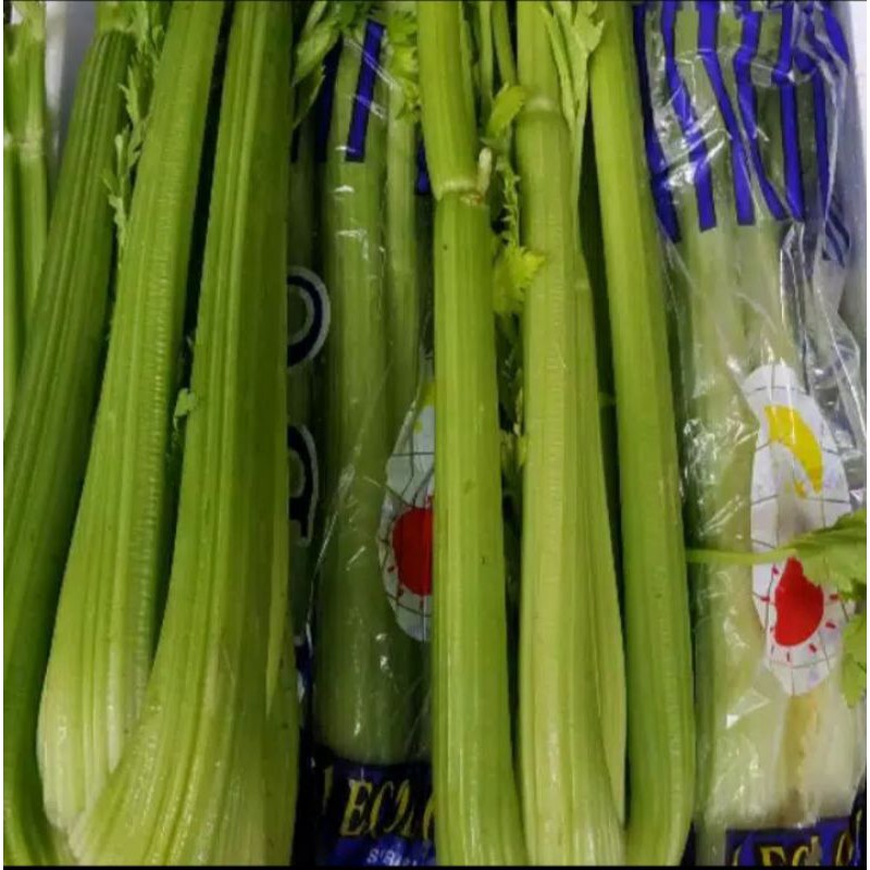 Jual Seledri Batang Import Cina/Celery Stick Import Cina 1 kg / 500 gr | Shopee Indonesia