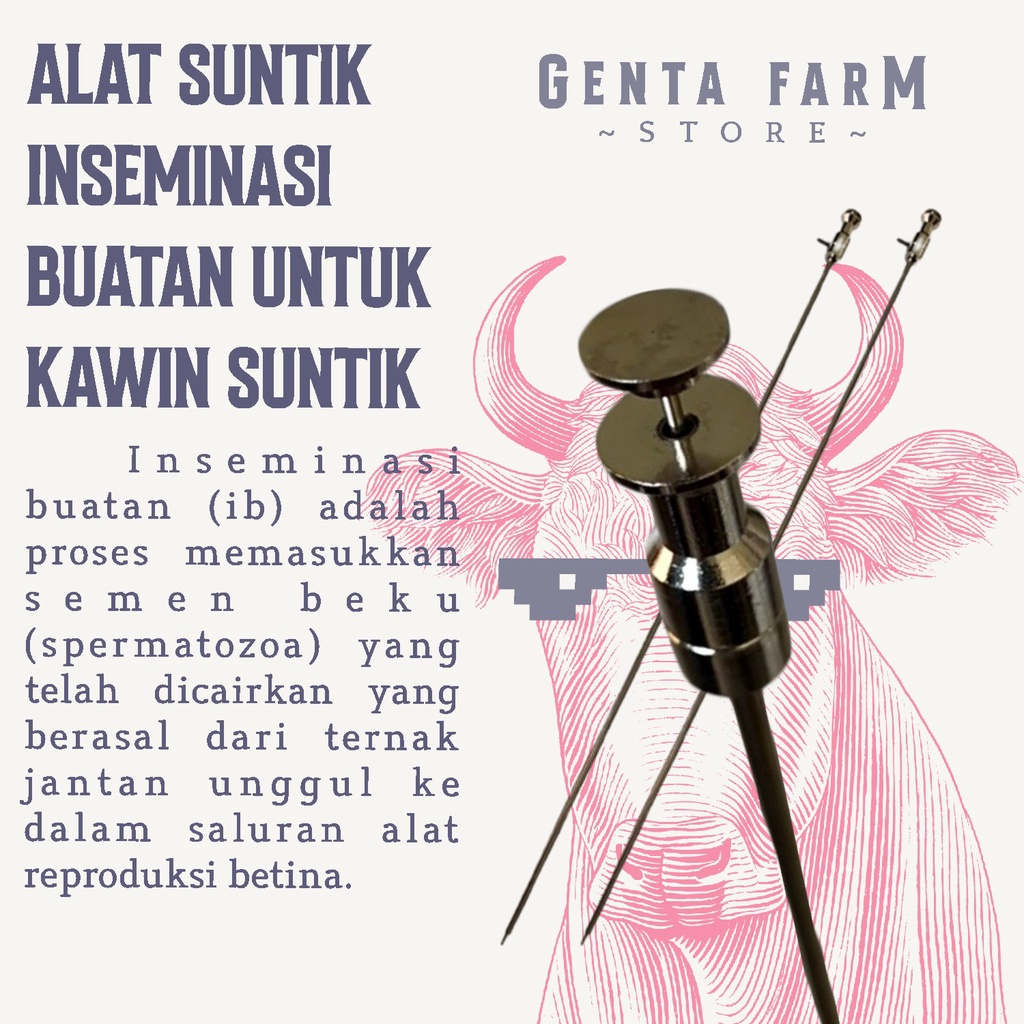 Jual Gun Ib Insemination Gun Alat Inseminasi Buatan Kawin Suntik Ternak ...