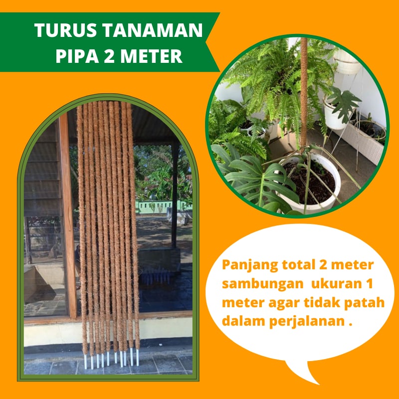 Jual Turus Penyangga Tanaman 2 meter, 150cm, 1 meter pipa | Shopee ...