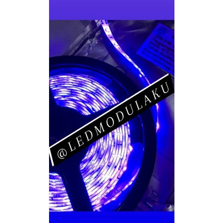 Jual LED Flex strip 2835 ip65 300 LED 24V (5 meter) | Shopee Indonesia