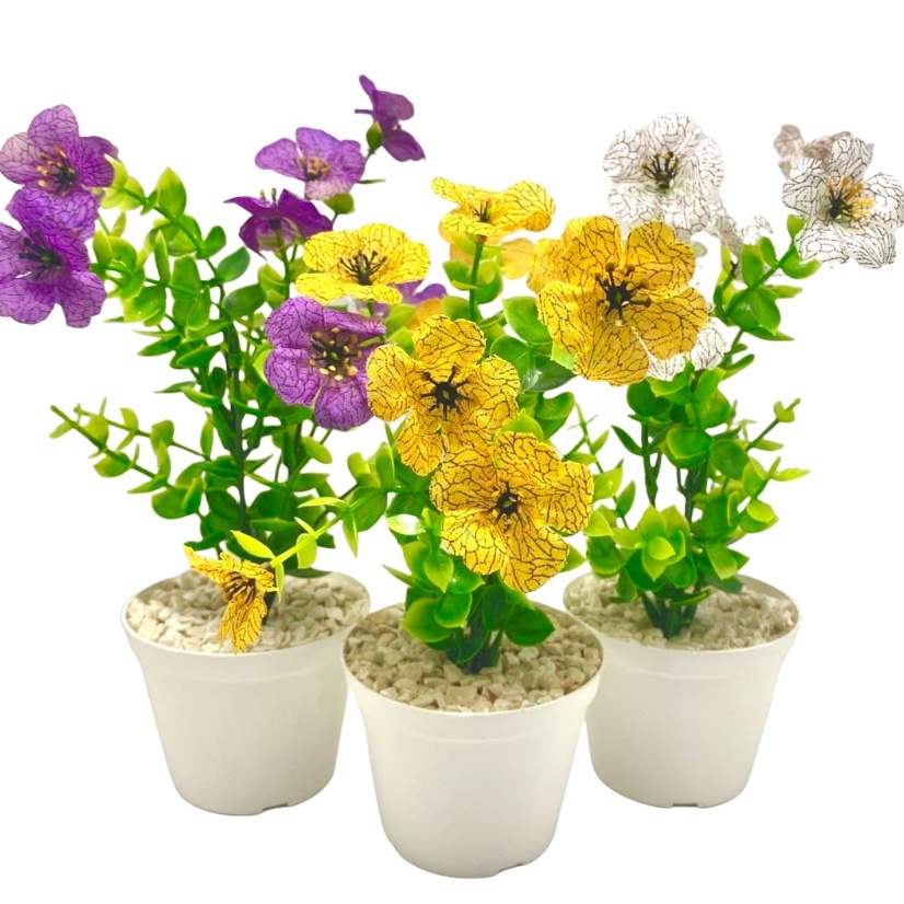 Jual Paket Pot Batu + Bunga Petunia Hias - Dekorasi Daun Bunga Hias ...