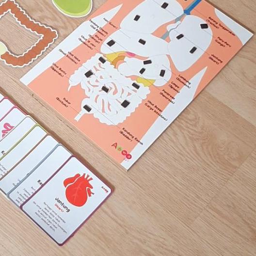 Jual HUMAN BODY MAGNET, Belajar Mengenal Organ Tubuh untuk Anak ...