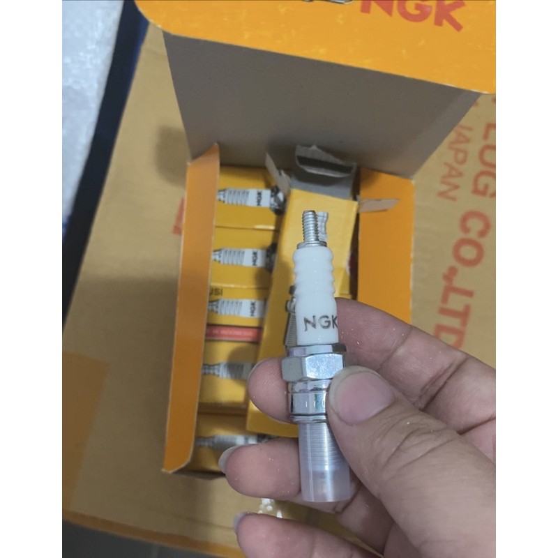 Jual Busi NGK motor bebek Supra C7HSA kepala putih | Shopee Indonesia