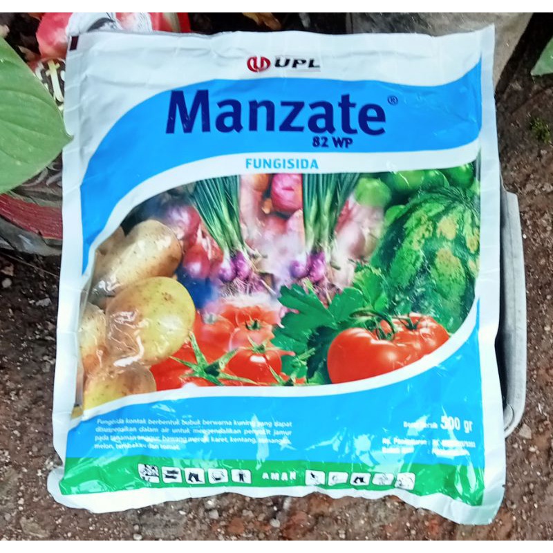 Jual Manzate 500 gram | Shopee Indonesia