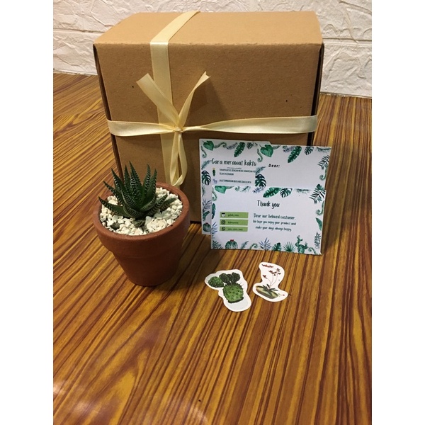 Jual Paket Gift Box Haworthia/ hadiah ulang tahun/ hampers/ giftbox ...