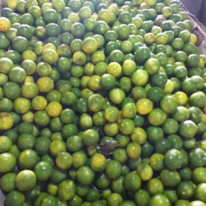Jual Buah Jeruk Nipis Jumbo Besar Segar 1kg | Shopee Indonesia