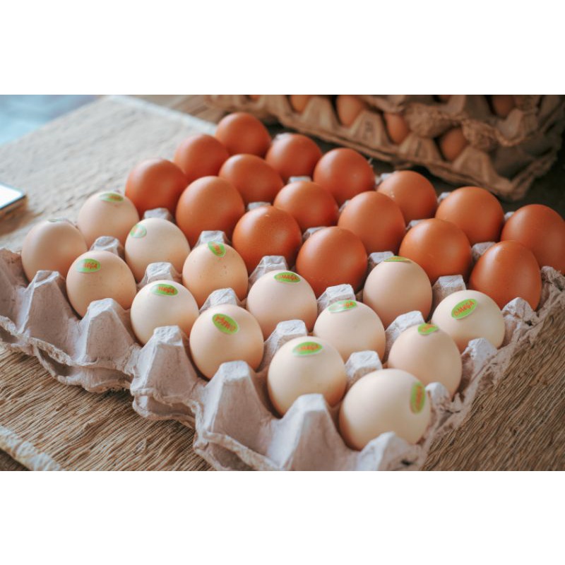 Jual telur paket A ( telur negri 1kg + telur kampung omega 14 butir ...
